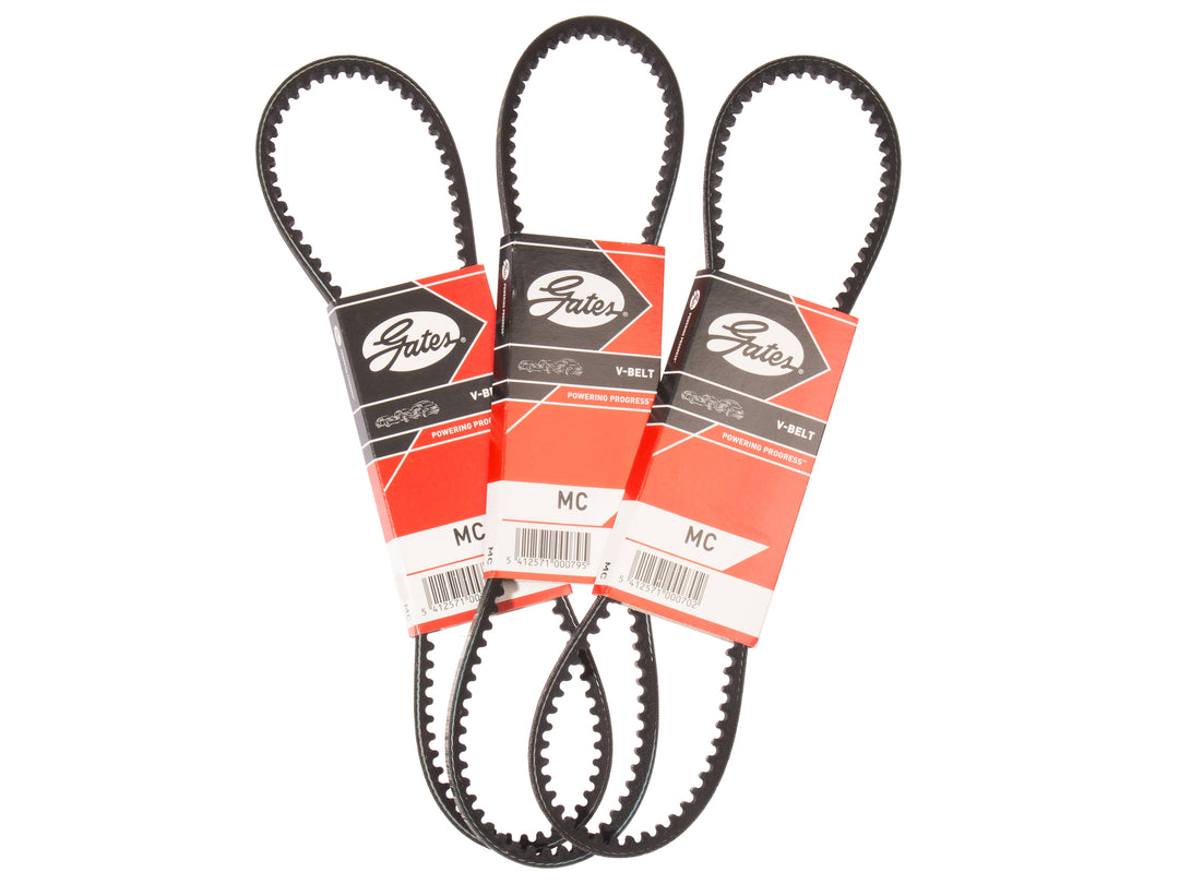 CLASSIC MINI FAN BELT | MED