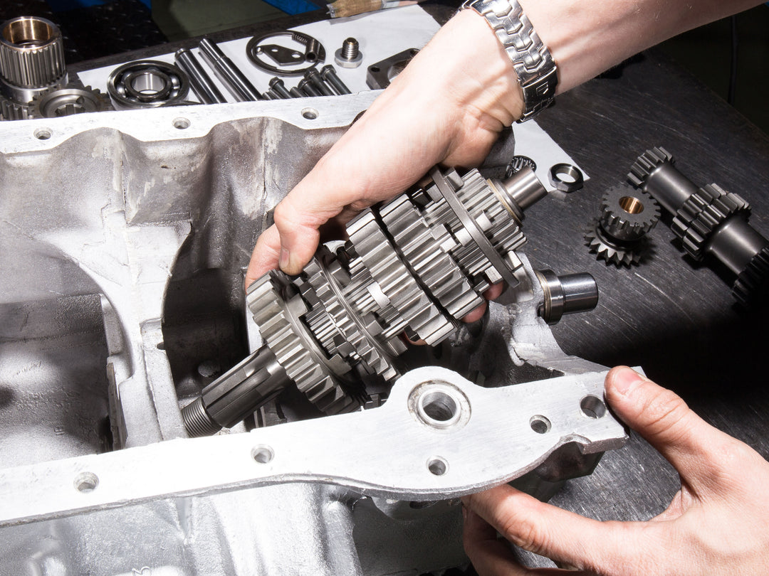 MINI DOG ENGAGEMENT GEAR KIT | MED