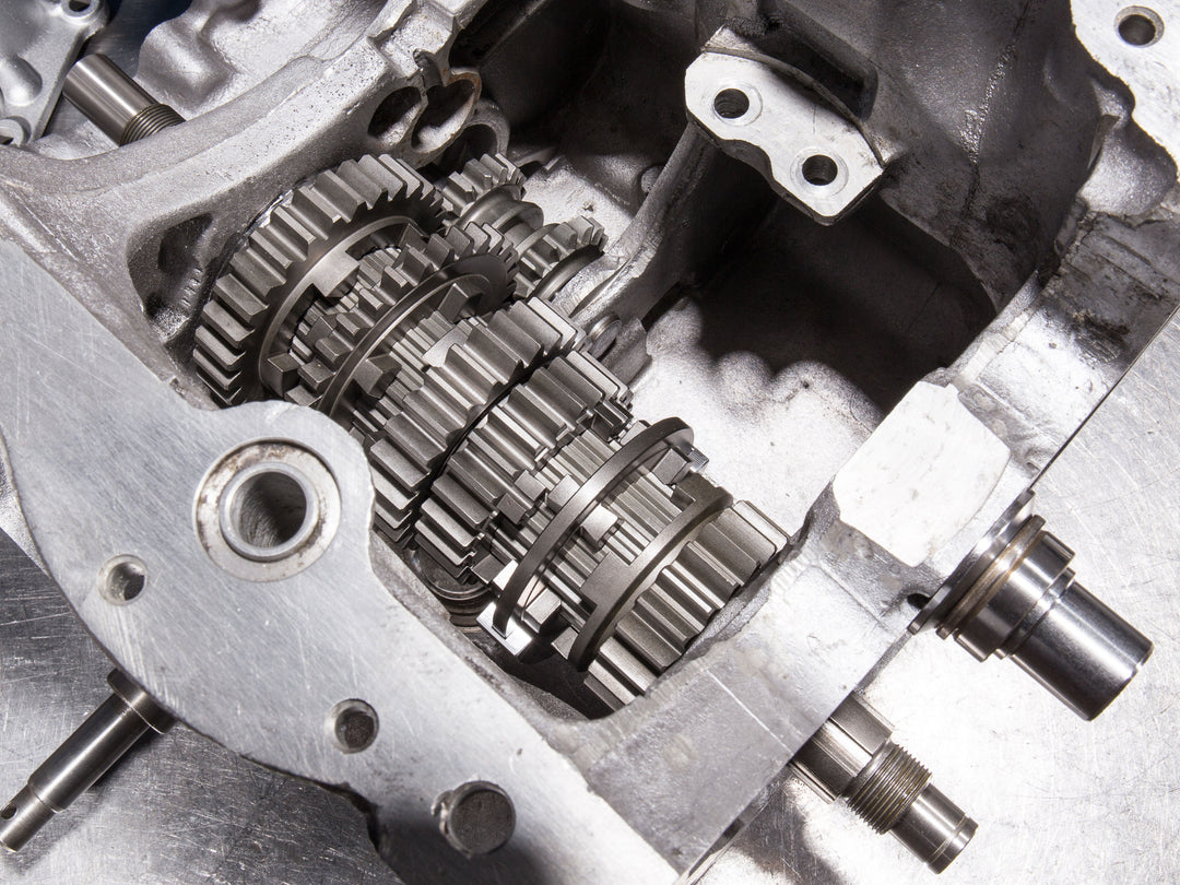 MINI DOG ENGAGEMENT GEAR KIT | MED