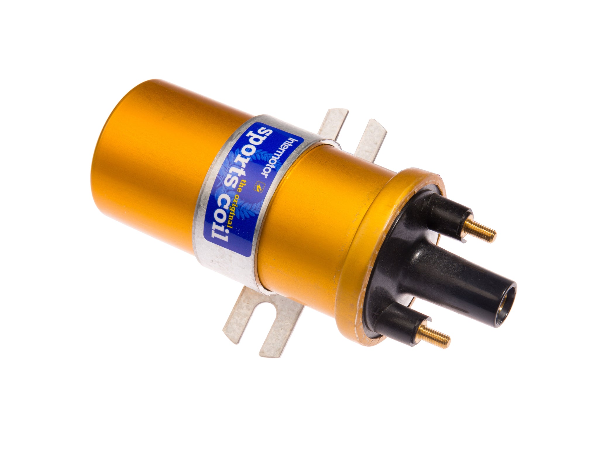 GOLD SPORTS COIL | MED